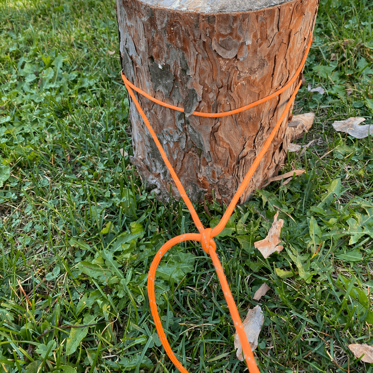 The 7 Essential Knots Every Camper Must Know | Outdoor Gear Reviews