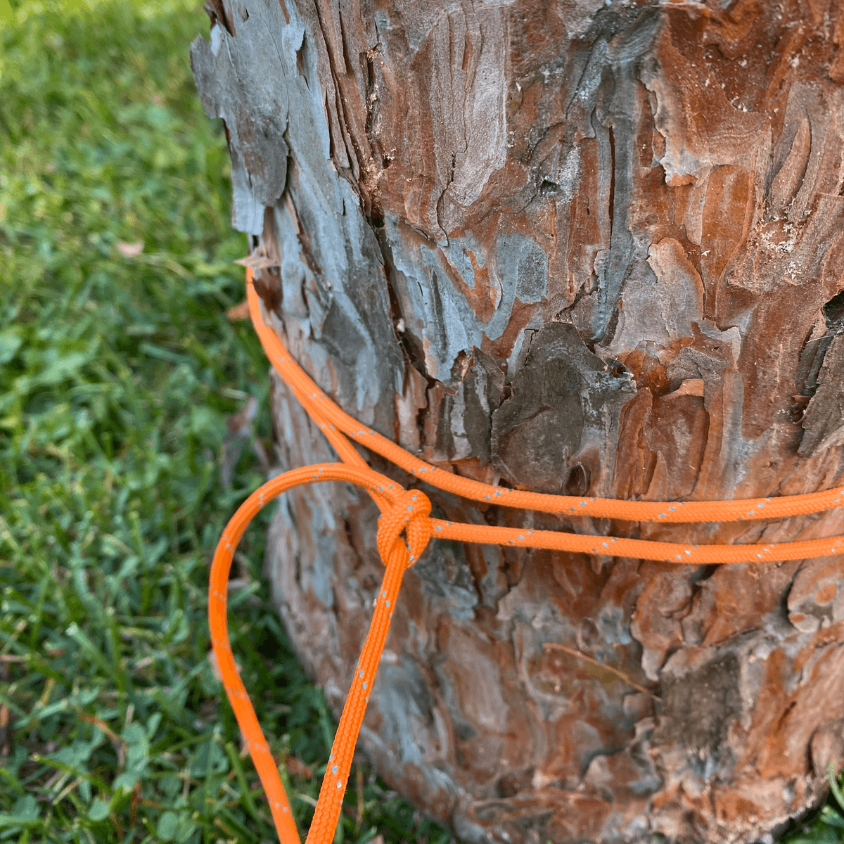 The 7 Essential Knots Every Camper Must Know | Outdoor Gear Reviews