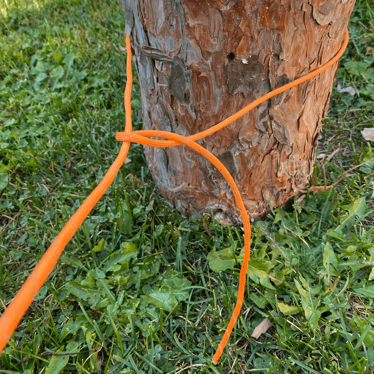 The 7 Essential Knots Every Camper Must Know | Outdoor Gear Reviews