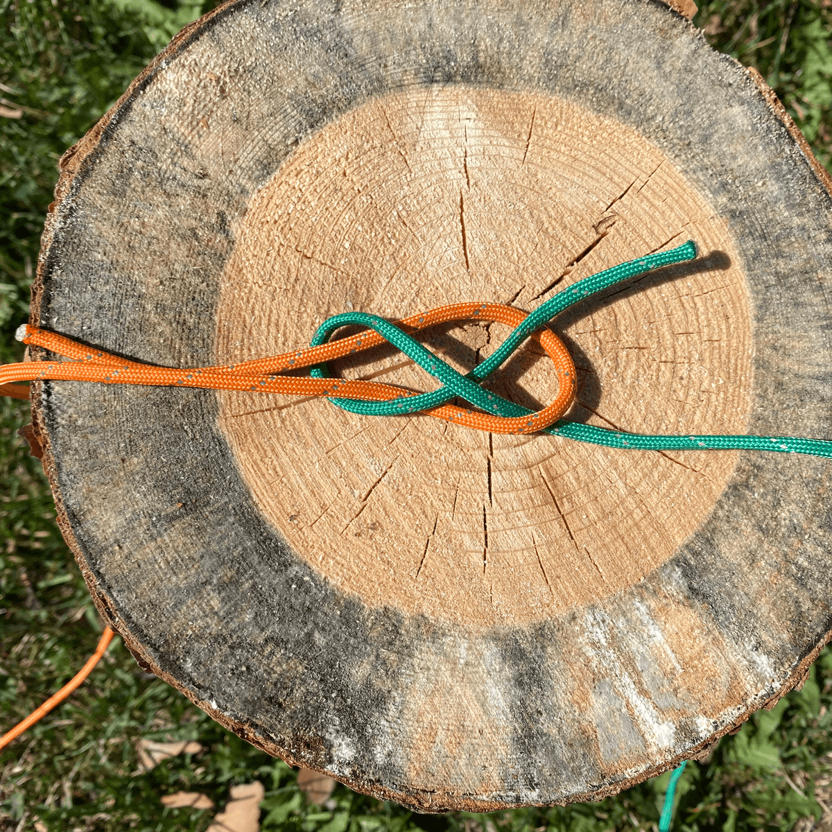 The 7 Essential Knots Every Camper Must Know | Outdoor Gear Reviews